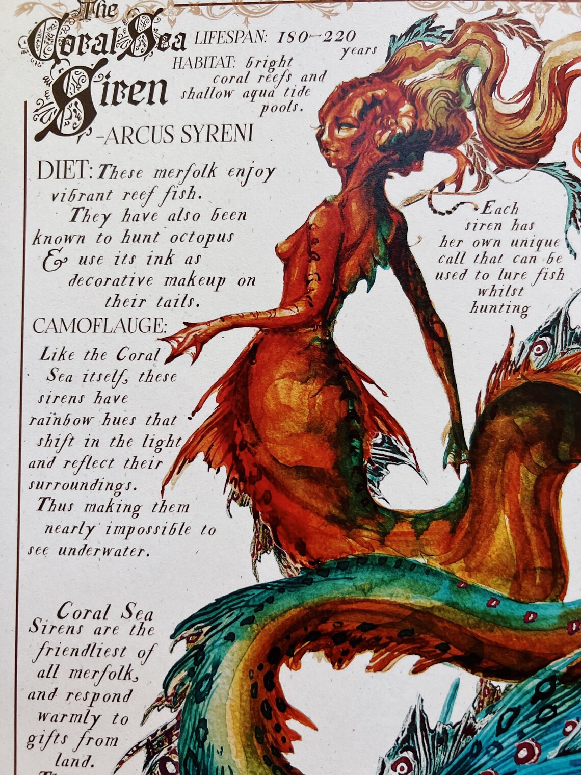 Coral Sea Siren Print – Watercolor Mermaid Fantasy Art (8x10) - Etsy