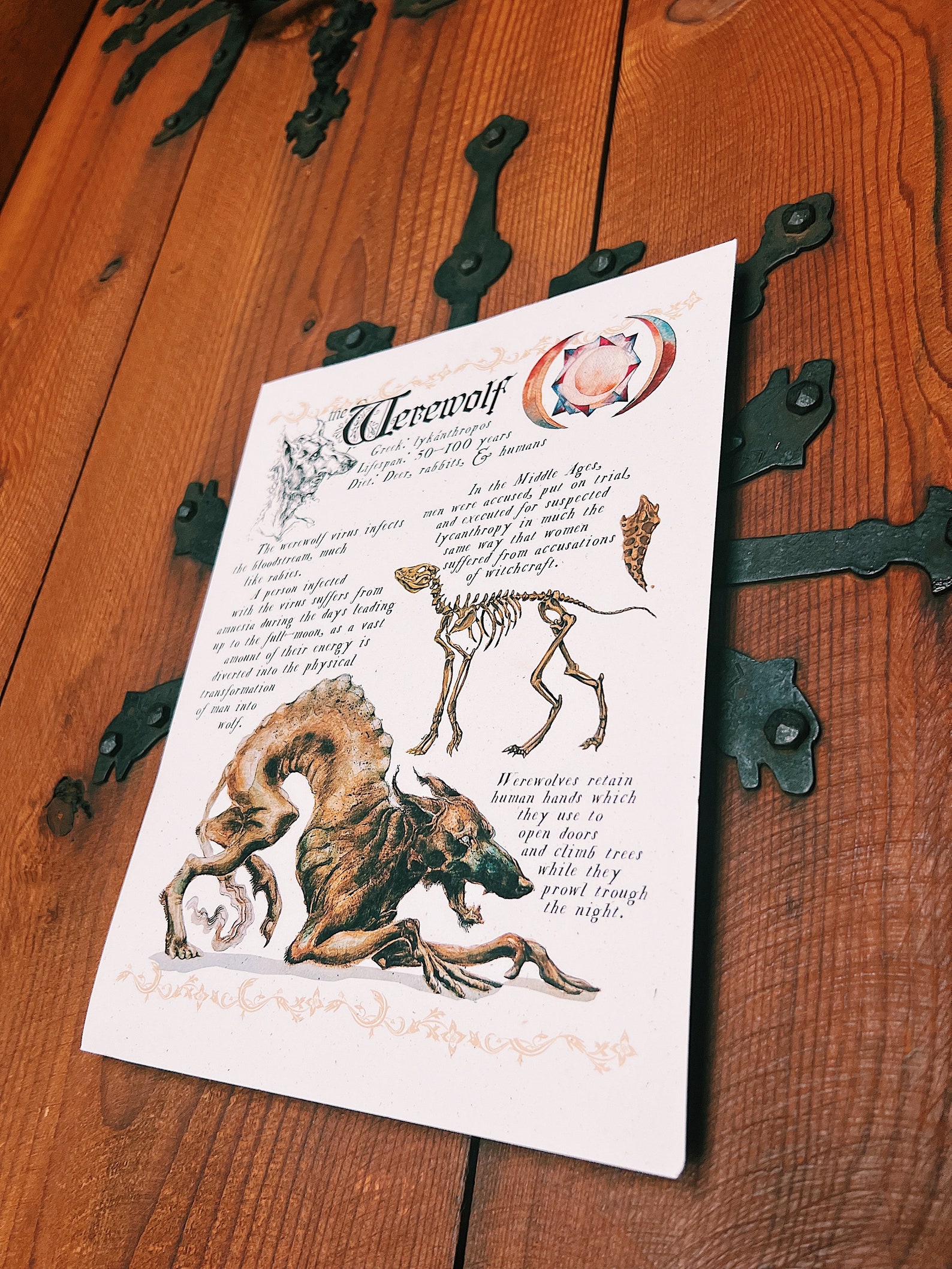 Werewolf Anatomy Art Print — Monster Mythology Watercolor, Dark Fantasy ...