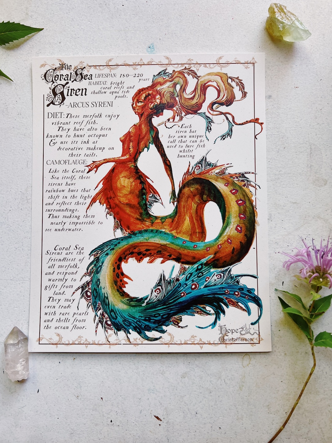 Coral Sea Siren Print - Etsy