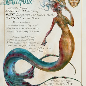 Arctic Mermaid Field Note - Etsy