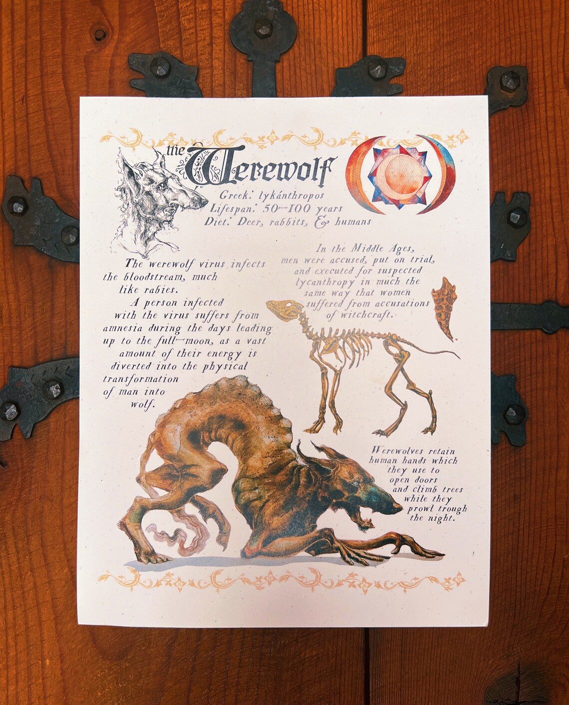 Werewolf Anatomy Art Print — Monster Mythology Watercolor, Dark Fantasy ...