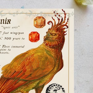 Phoenix Field Note - Etsy