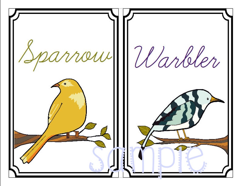 Bird Wall Cards, Learn Bird Names, Bird Artwork, Digital Download - Etsy