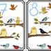 Number Wall Cards, Bird Theme, Preschool, Toddler, Pretty Numbers, Bird ...