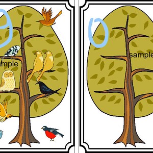 Number Wall Cards, Bird Theme, Preschool, Toddler, Pretty Numbers, Bird ...