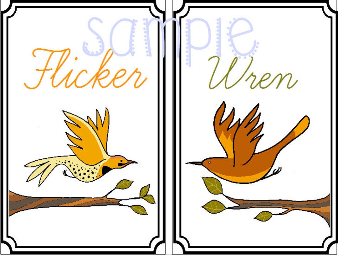 Bird Wall Cards, Learn Bird Names, Bird Artwork, Digital Download - Etsy
