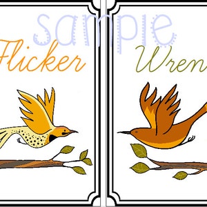 Bird Wall Cards, Learn Bird Names, Bird Artwork, Digital Download - Etsy