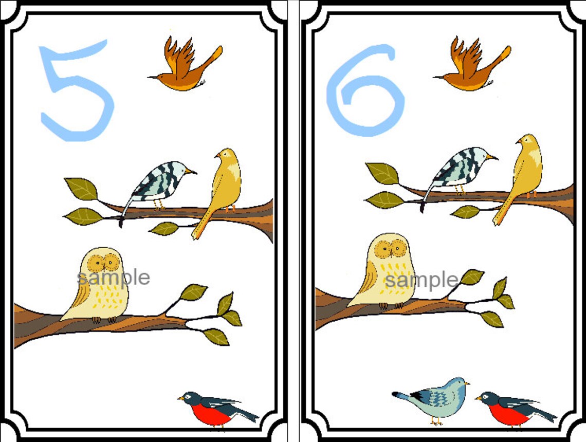 Number Wall Cards, Bird Theme, Preschool, Toddler, Pretty Numbers, Bird ...