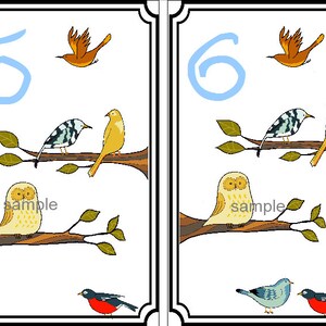 Number Wall Cards, Bird Theme, Preschool, Toddler, Pretty Numbers, Bird ...