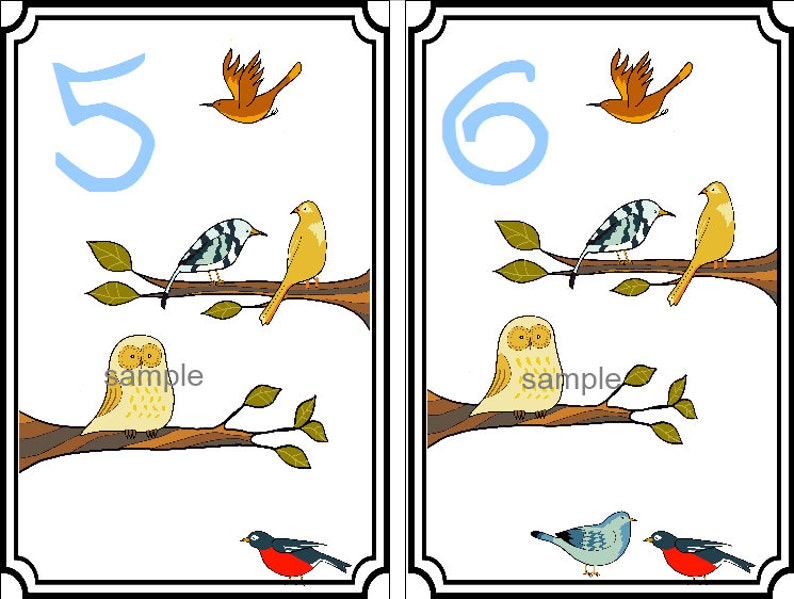 Number Wall Cards, Bird Theme, Preschool, Toddler, Pretty Numbers, Bird ...