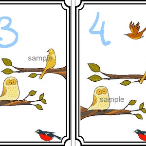 Number Wall Cards, Bird Theme, Preschool, Toddler, Pretty Numbers, Bird ...