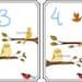 Number Wall Cards, Bird Theme, Preschool, Toddler, Pretty Numbers, Bird ...