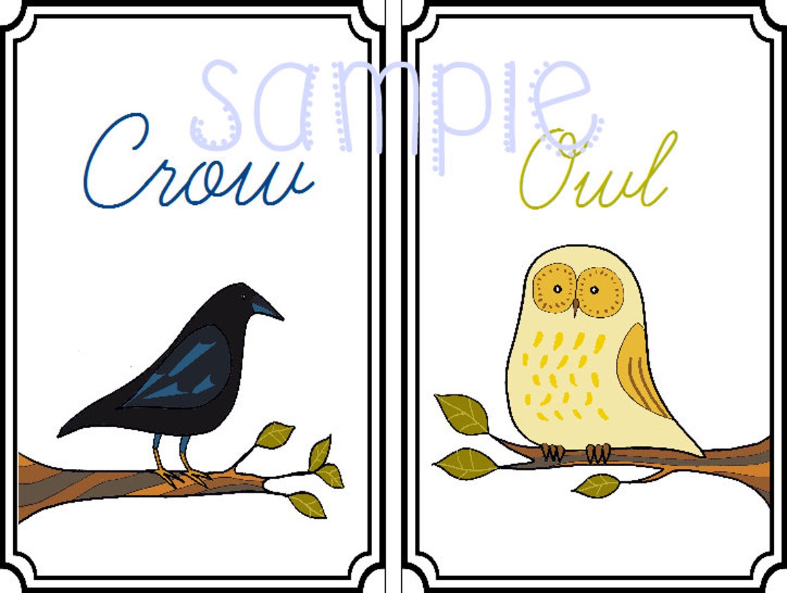 Bird Wall Cards Learn Bird Names Bird Artwork Digital - Etsy