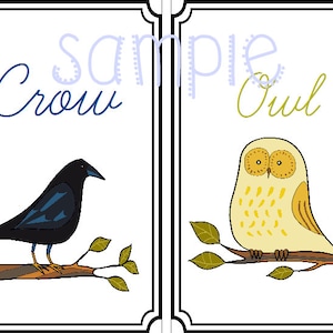Bird Wall Cards, Learn Bird Names, Bird Artwork, Digital Download - Etsy