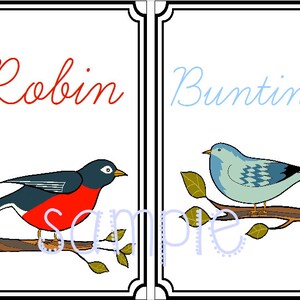 Bird Wall Cards, Learn Bird Names, Bird Artwork, Digital Download - Etsy