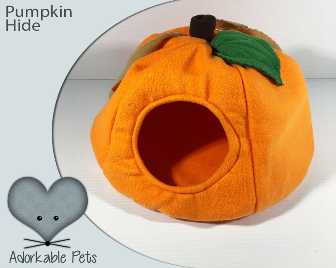 Pumpkin Hide Halloween Themed Round Pumpkin Hide for Rat, Chinchilla ...