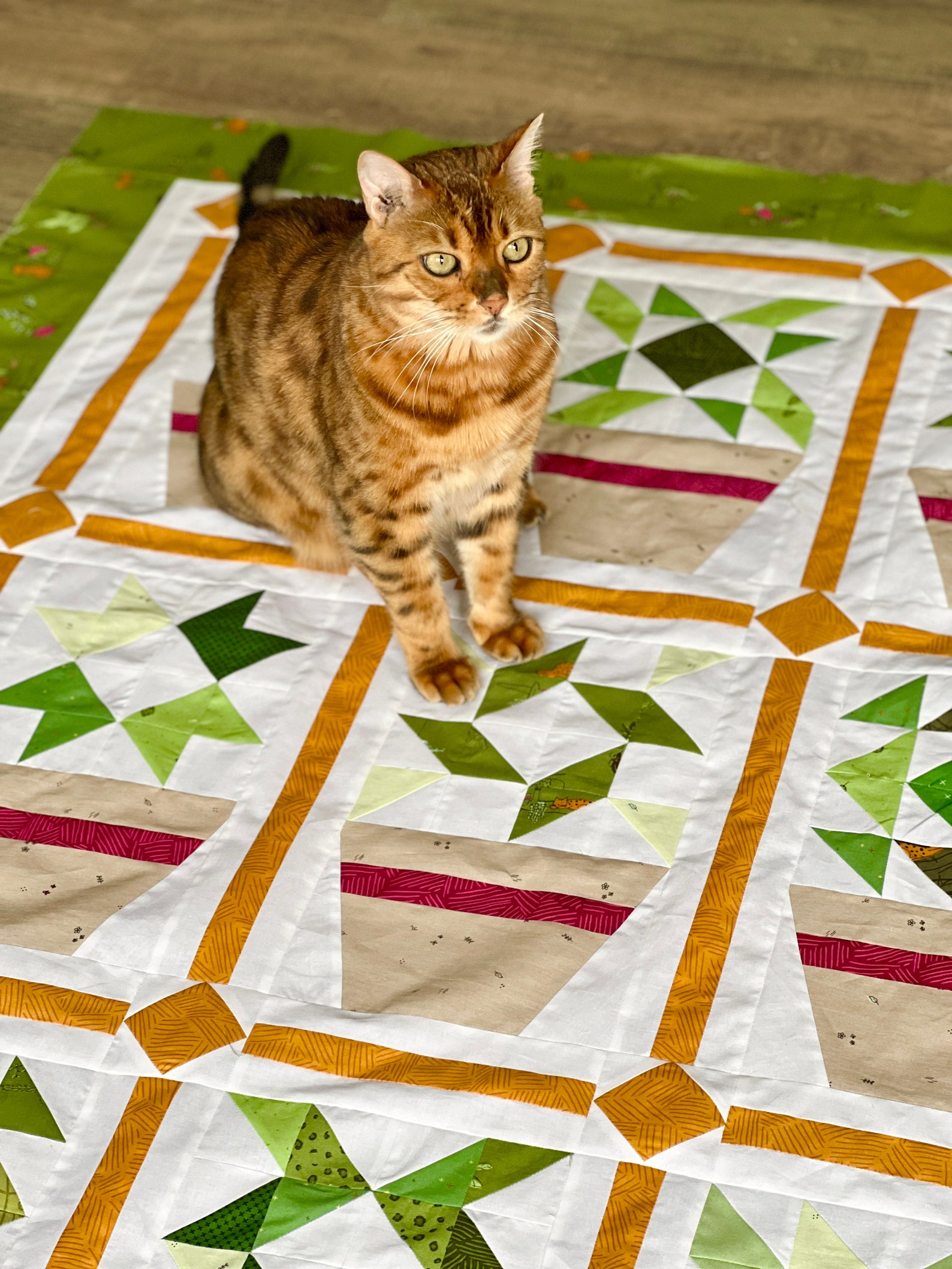 Plant Life Quilt Pattern PDF - Etsy