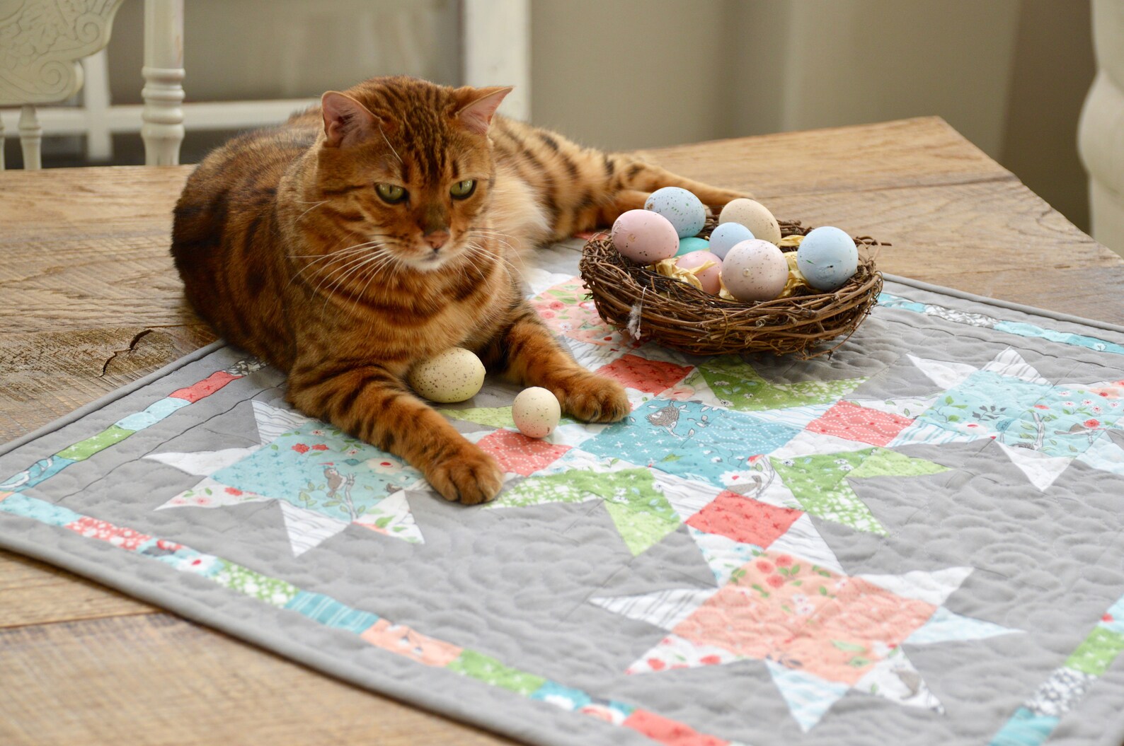 Charm Pack Cuteness PDF Quilt Pattern - Etsy