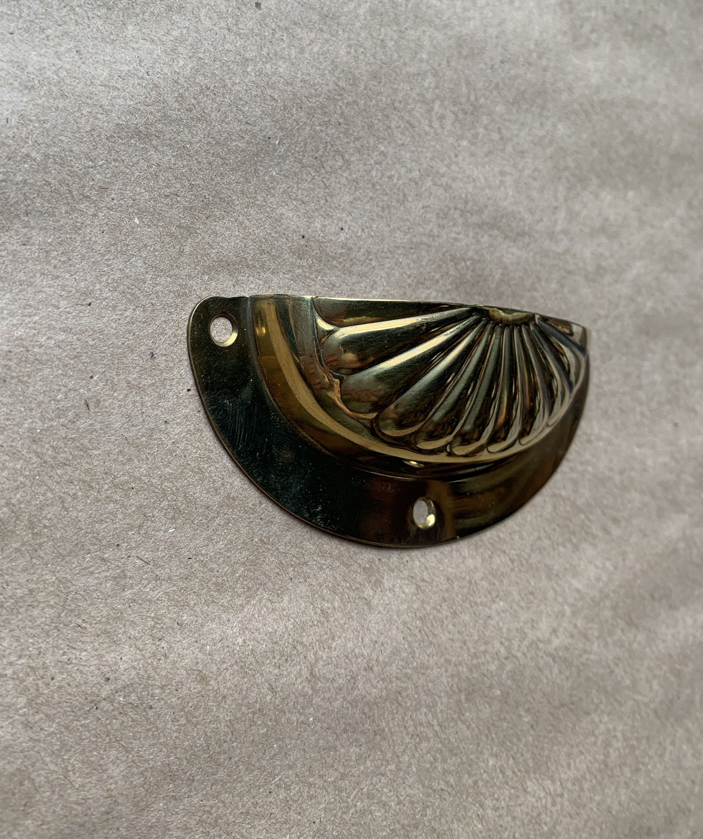 Decorative Cup Pull Shell Pull Sunrise Vintage Hardware | Etsy