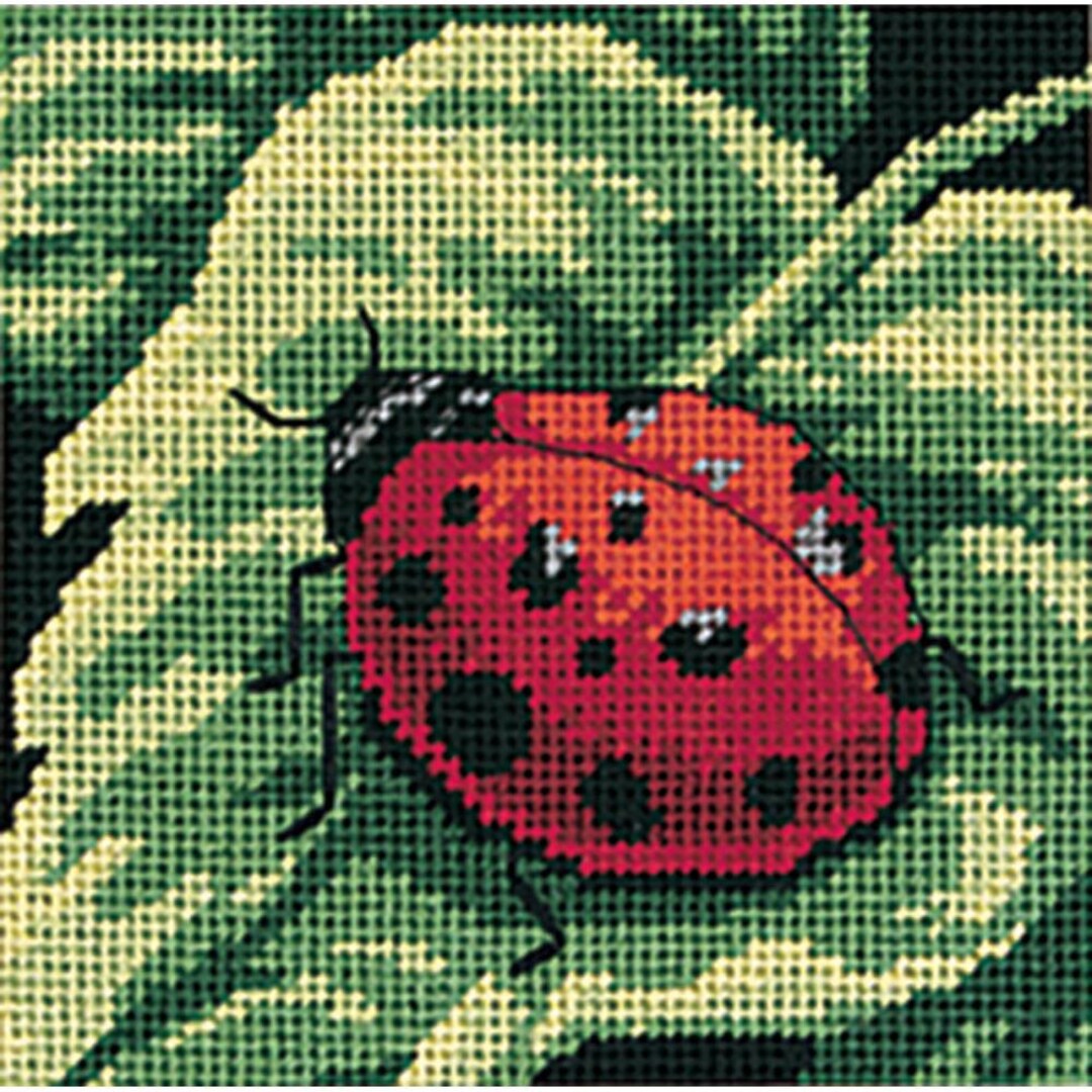 Ladybug Needlepoint Kit floss size 5x5 - Etsy