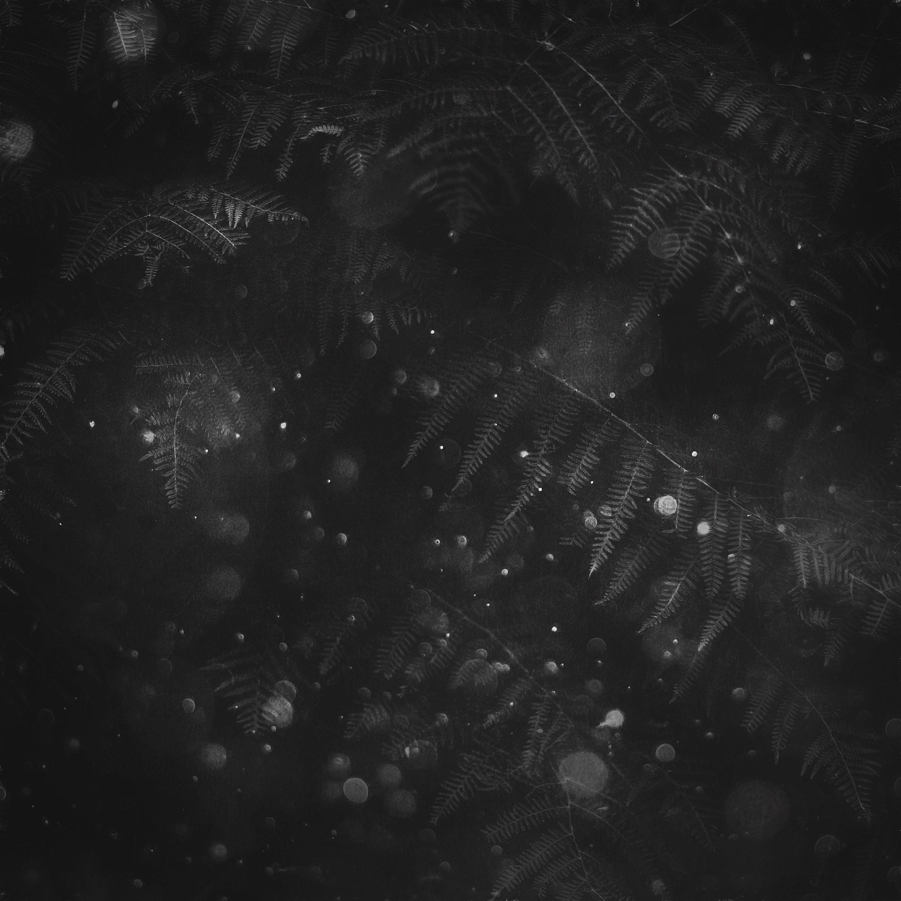 Bernie Tuffs Christmas in July 2023 Kit, Textures, Photoshop Masks ...