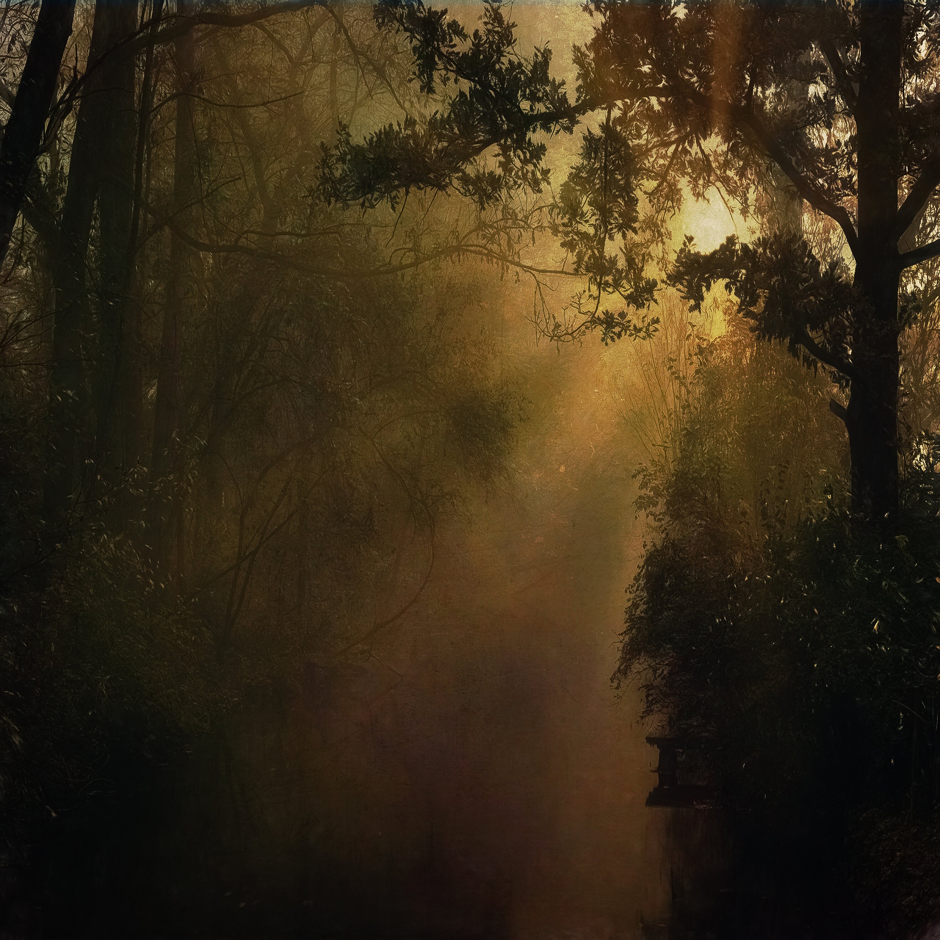 Bernie Tuffs - Trees and Leaves Backgrounds - Etsy