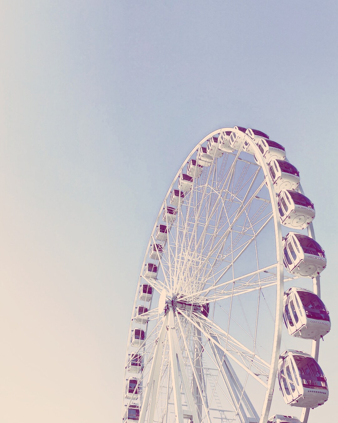 San Francisco - Ferris Wheel Golden Gate Park | 8x10 Photo Print - Etsy