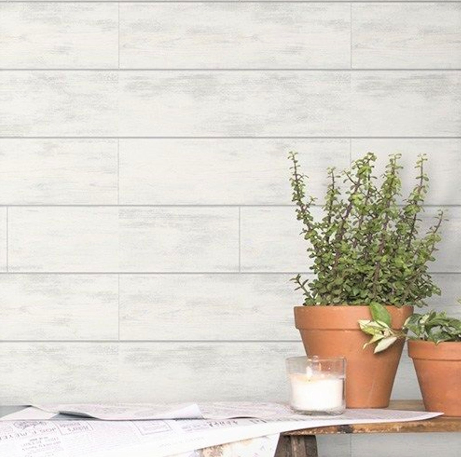 White Shiplap Barnwood Wallpaper - Shabby Coastal Cottage Plank, Modern ...