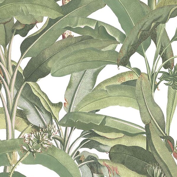 Big Leaf Print Wallpaper - Etsy