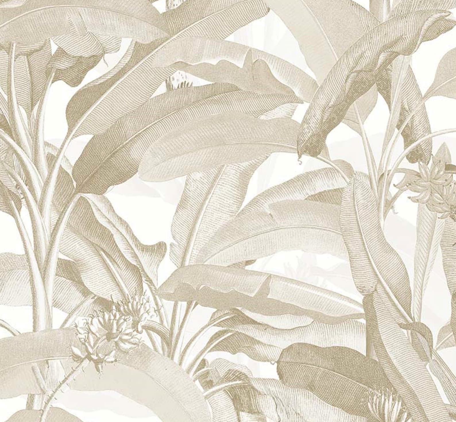 Neutral Palm Leaf Wallpaper, Jungle Safari Nursery Wall, Tropical ...