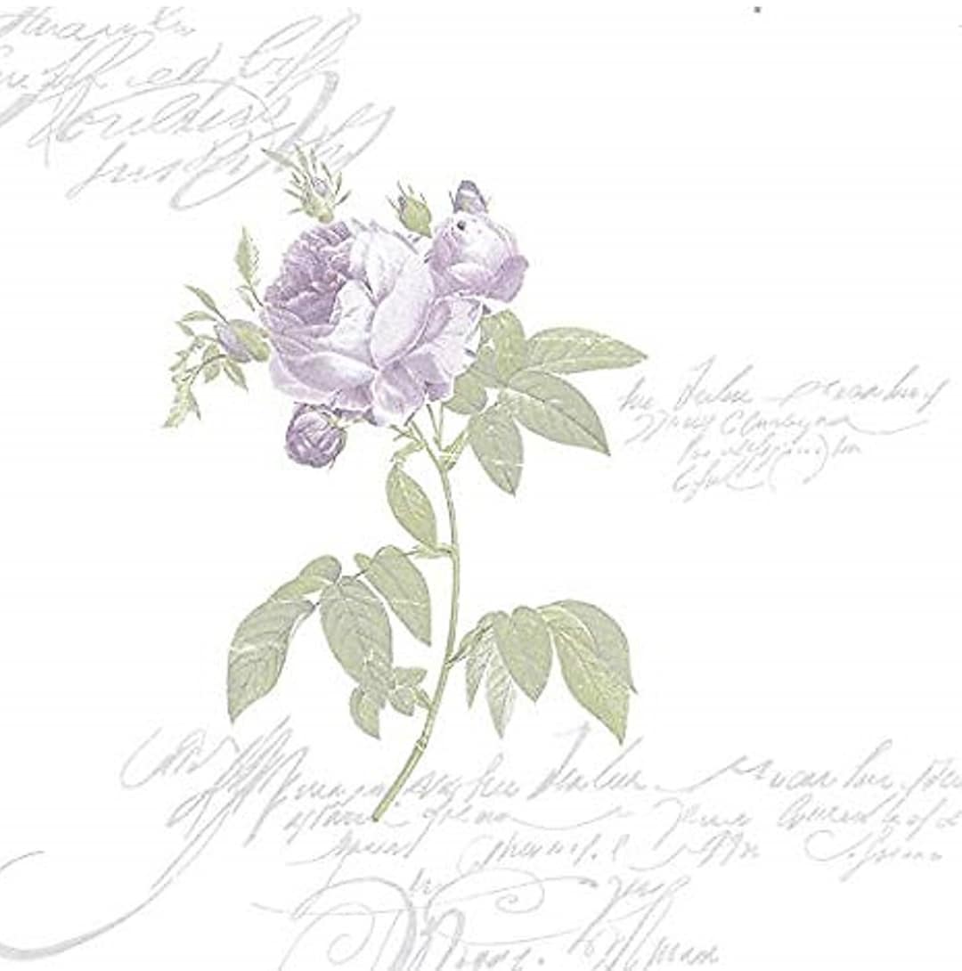 Romantic Watercolor Floral Script Wallpaper, Feminine Paris Chic ...