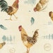 Barnyard Chickens Wallpaper – Old Farmhouse Rooster Hen Kitchen, Barn ...