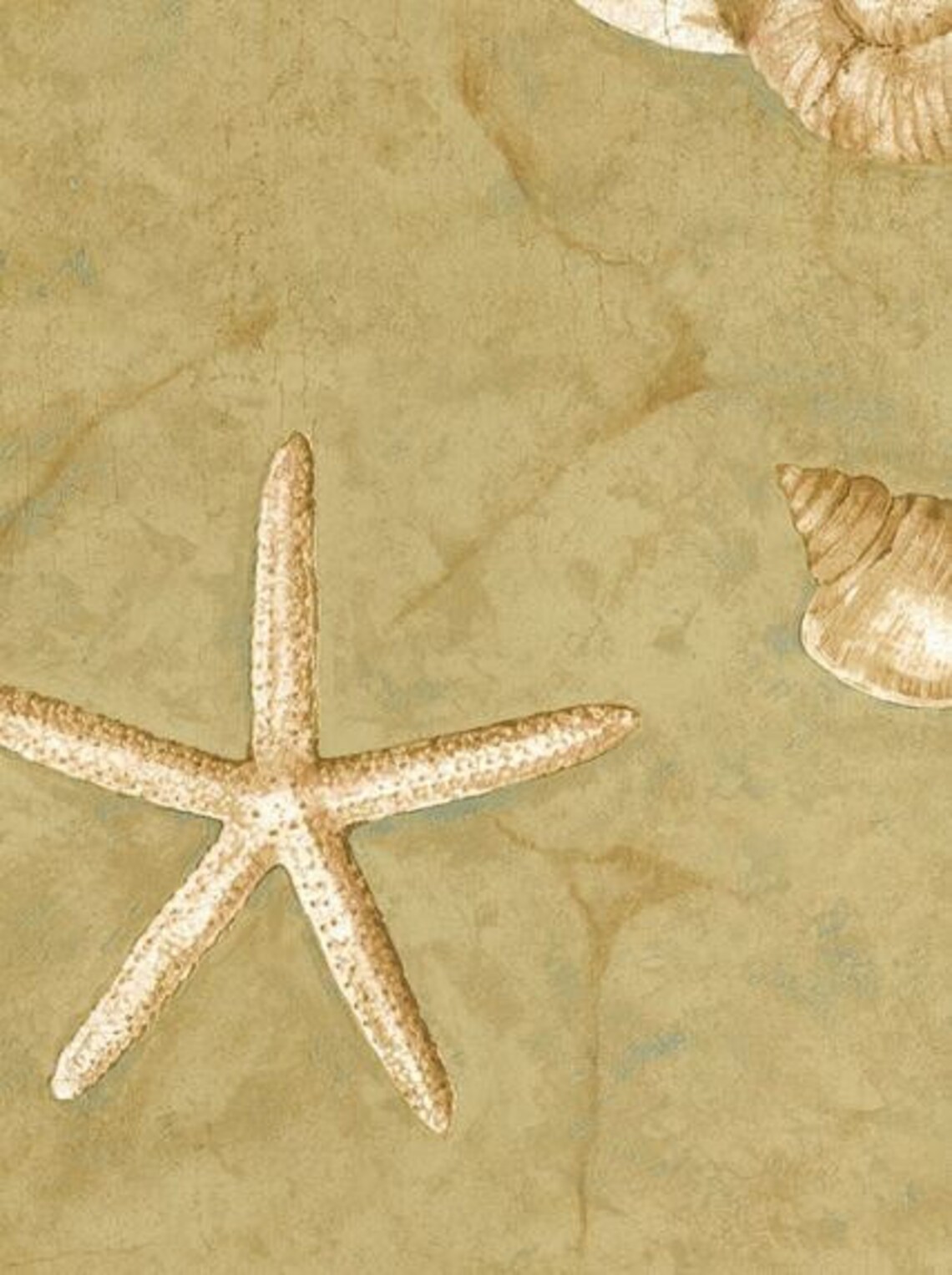 Tan Seashell Wallpaper Coastal Shell Bathroom Wall Mural | Etsy