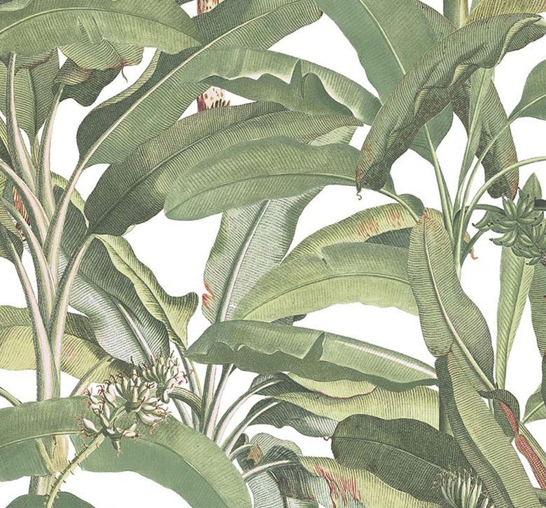 Botanical Palm Leaves Wallpaper Bold Green Banana Leaf - Etsy Hong Kong