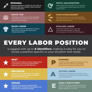 99 Pregnancy Positions 24x36″ Premium Poster | for Birth Centers ...