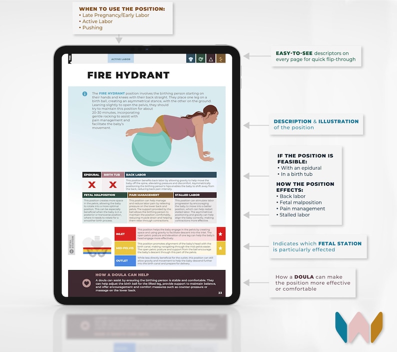 A Doula’s Guide to Labor Positions Ebook | Interactive PDF Ebook for ...