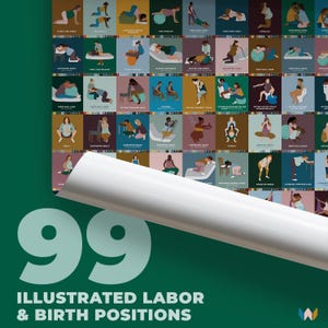 99 Pregnancy Positions 24x36″ Premium Poster | for Birth Centers ...