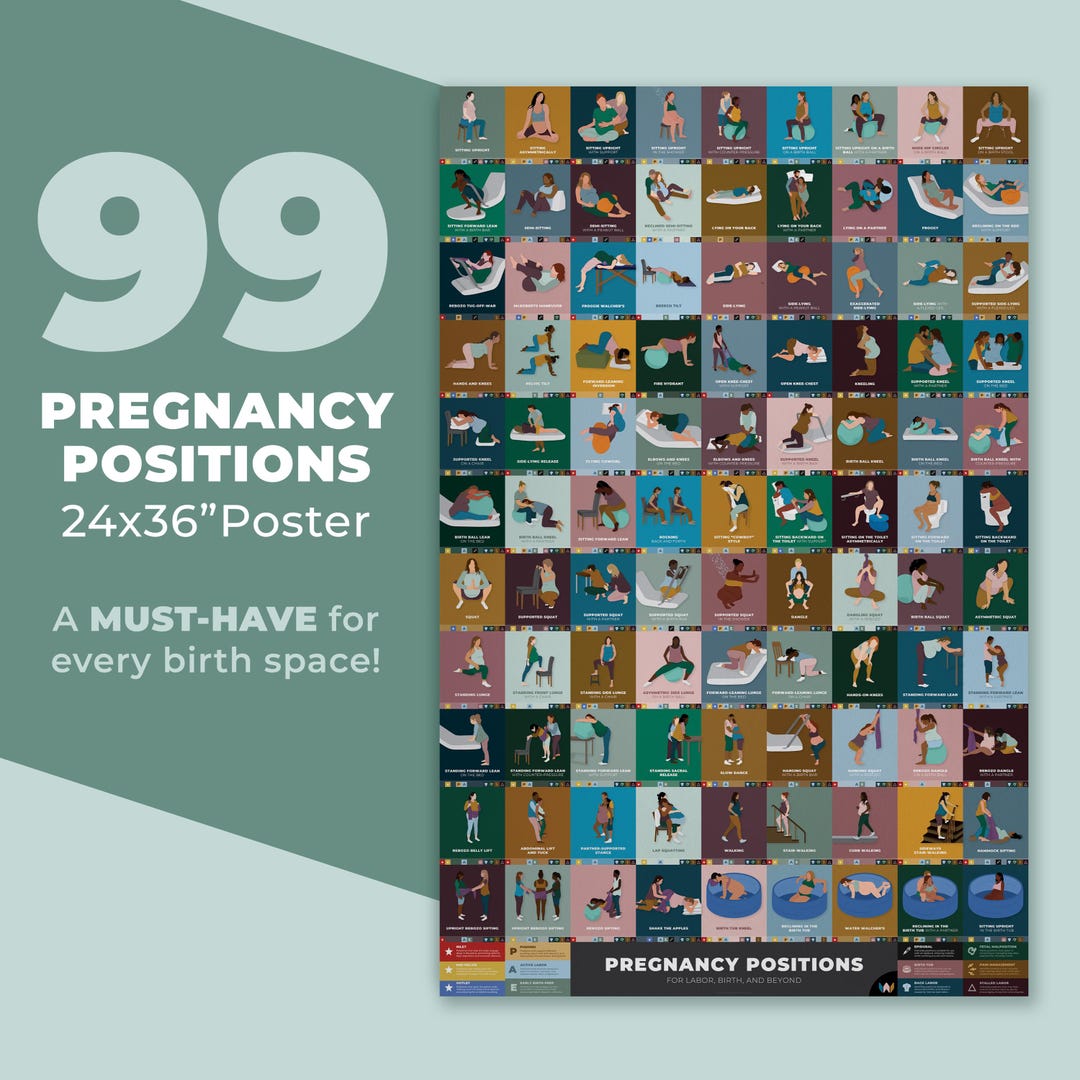 99 Pregnancy Positions 24x36″ Premium Poster | for Birth Centers ...
