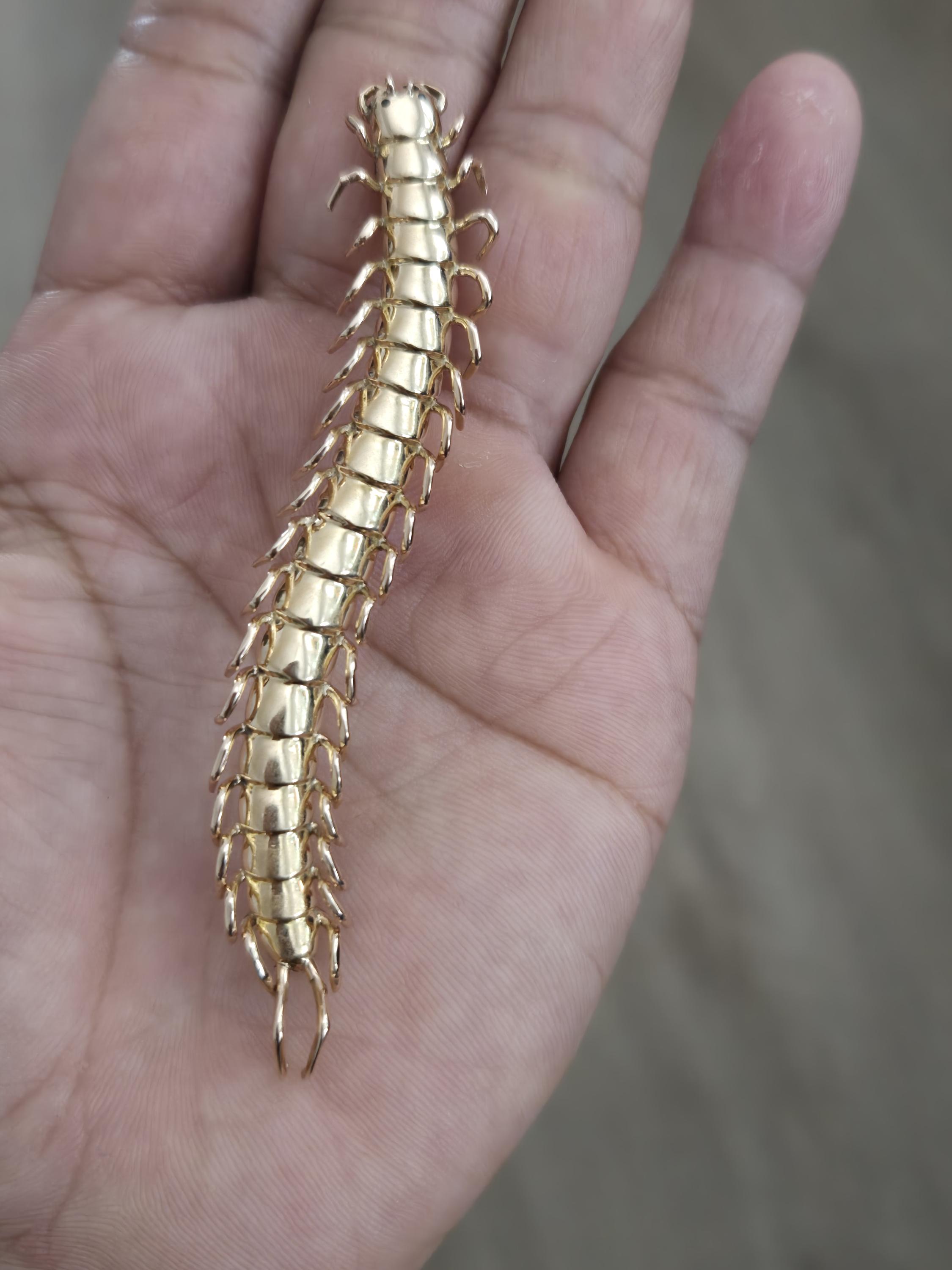 Vintage 14k Solid Gold Centipede Brooch: Statement Jewelry - Etsy