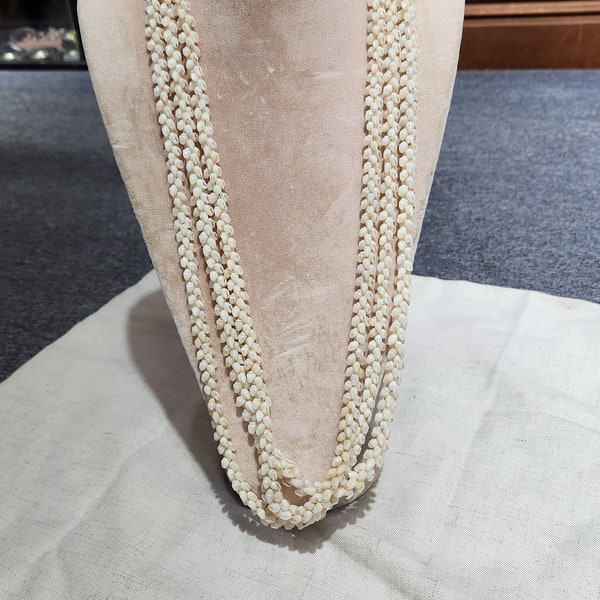 Niihau Shell Necklace - Etsy
