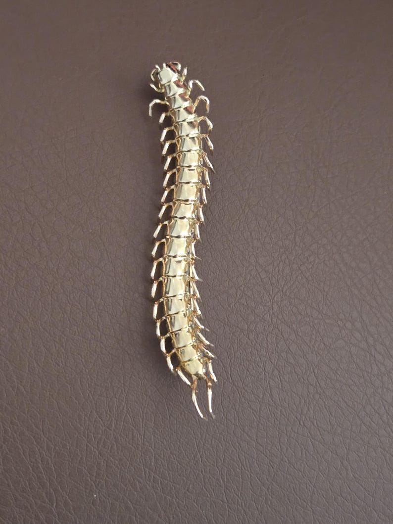 Vintage 14k Solid Gold Centipede Brooch: Statement Jewelry - Etsy