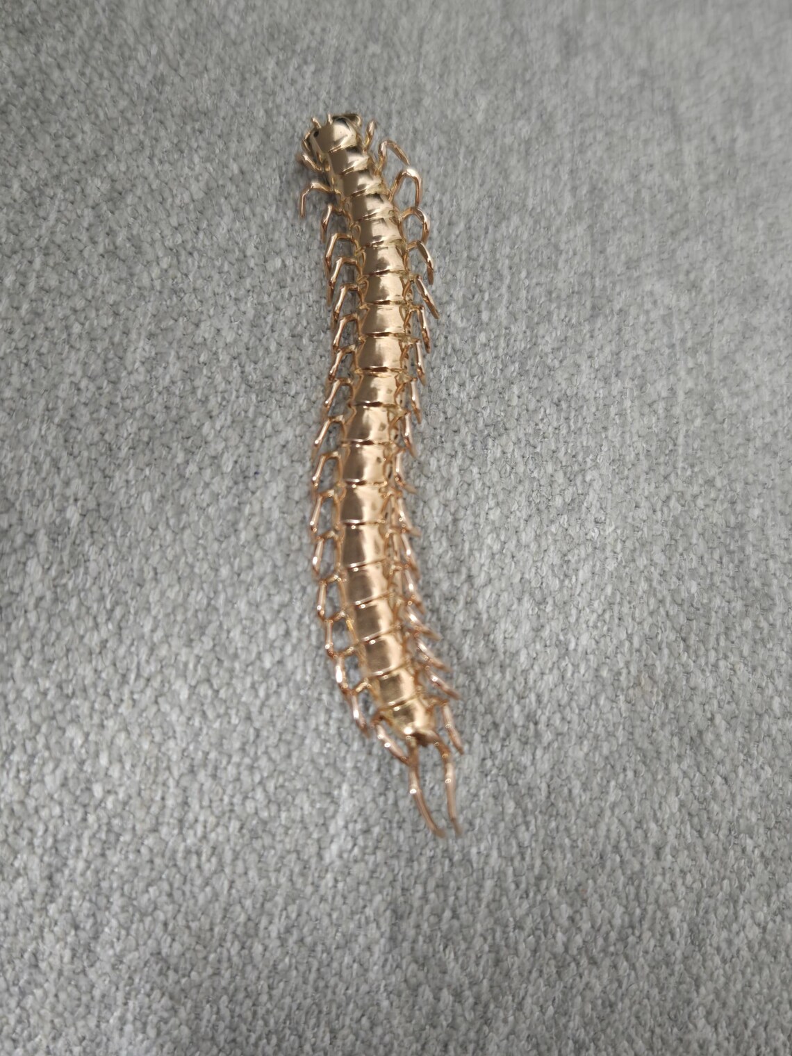 Vintage 14k Solid Gold Centipede Brooch: Statement Jewelry - Etsy