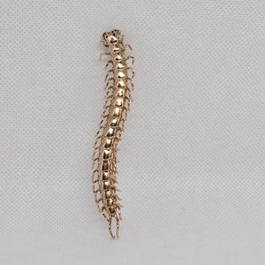 Vintage 14k Solid Gold Centipede Brooch: Statement Jewelry - Etsy