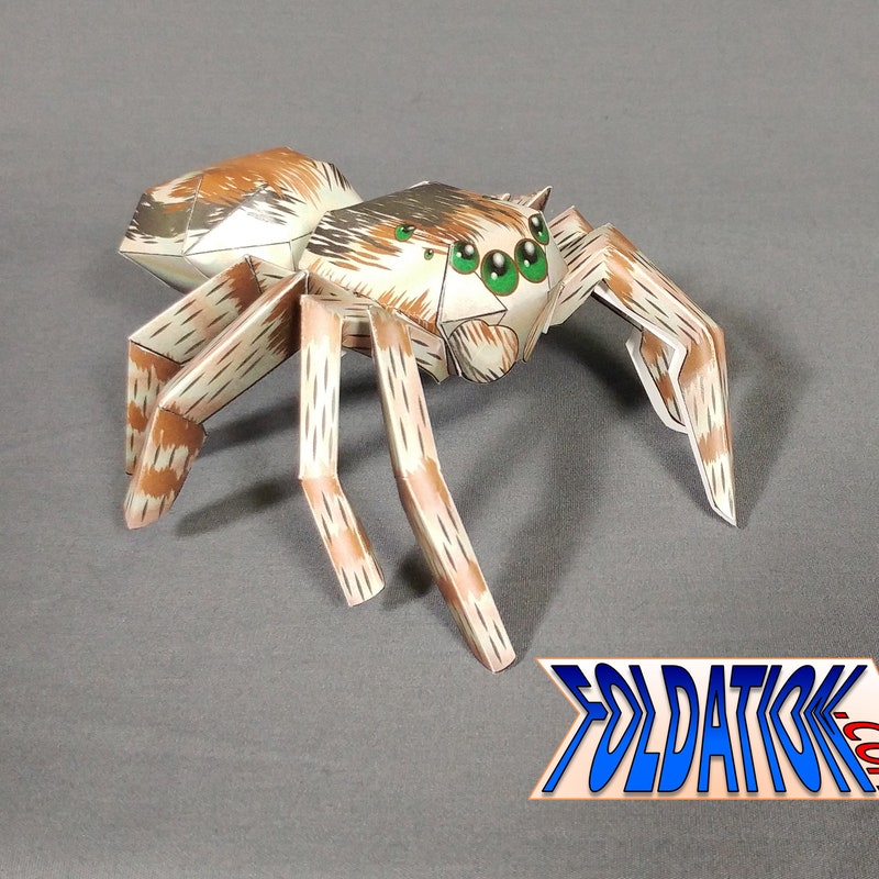 DimensionalPaper - Etsy