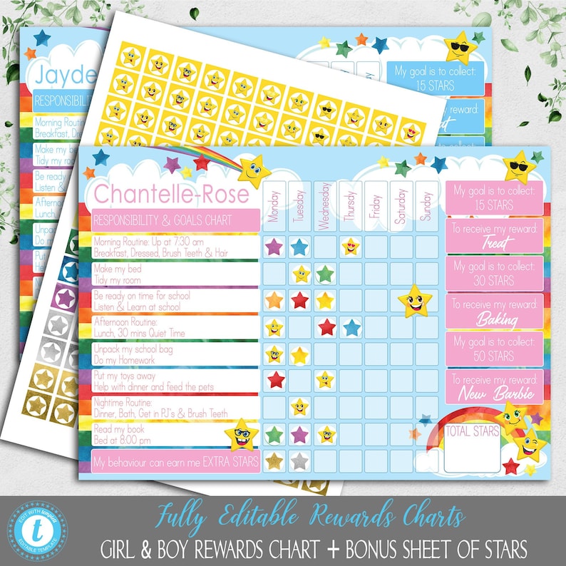 Kid's Star Chart Chores List Positive Behaviour Chart | Etsy