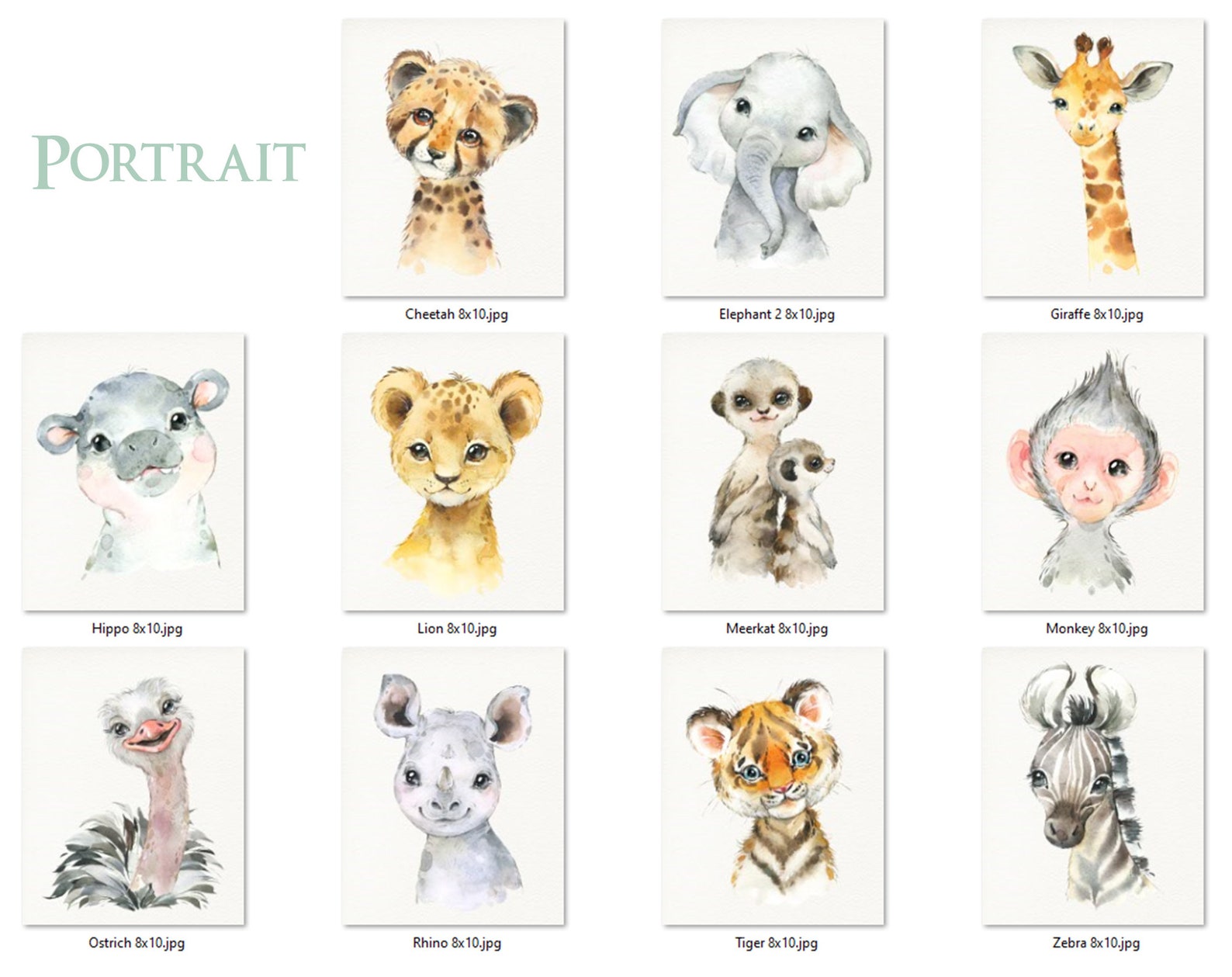 Cute Animal Prints Create Your Own Set 11 Different Safari - Etsy Australia