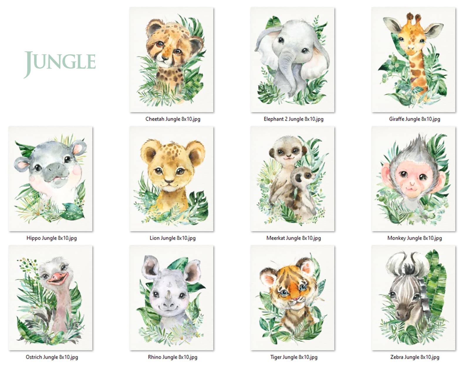 Cute Animal Prints Create Your Own Set 11 Different Safari - Etsy Australia