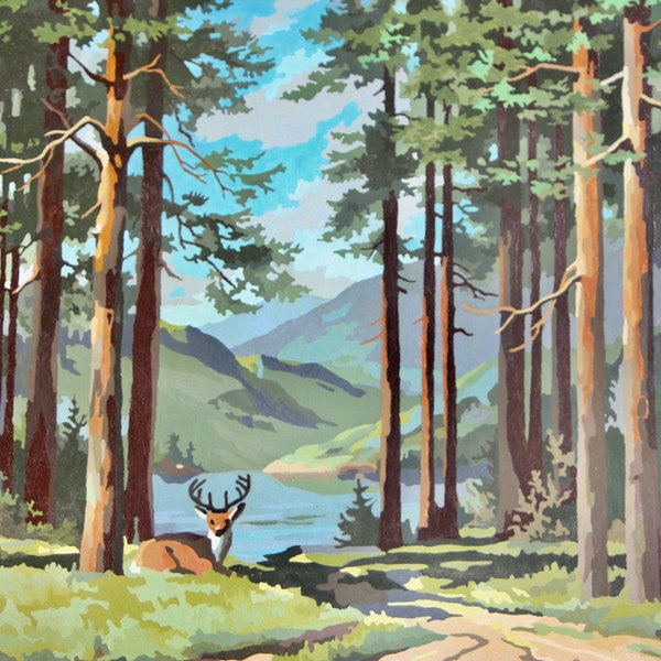 Paint by Number - Etsy UK
