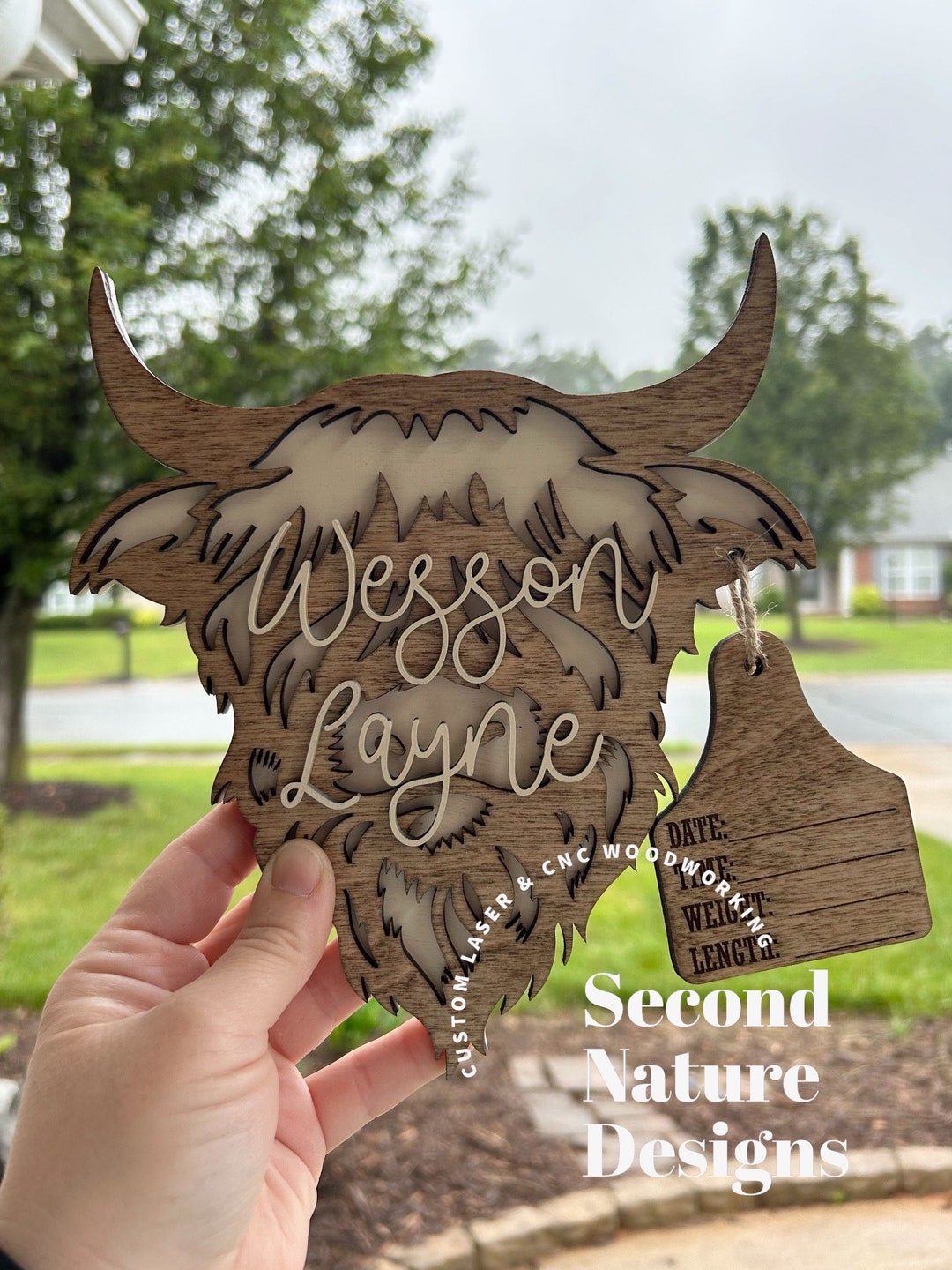 Baby Boy Highland Cow Birth Stats Sign / Nursery Announcement / Cattle ...