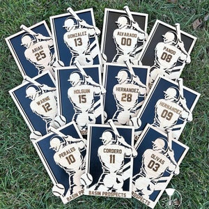 Personalized Baseball Sign / Baseball Trophy Plaque / Custom Senior ...